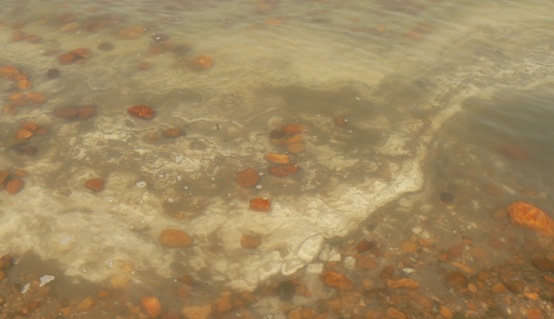 Isla Muir: El Mar Muerto